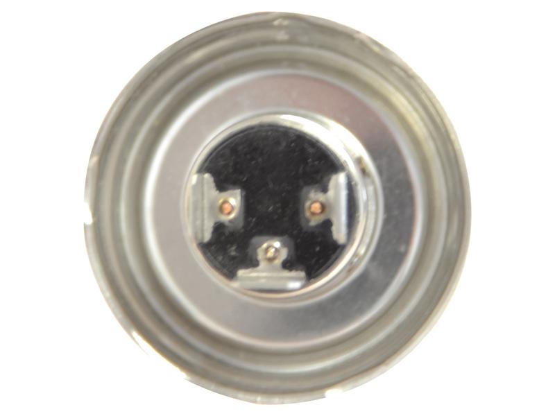 Light Bulb (Filament) R2, 12V, 45/40W, P45t (Box 1 pc.)