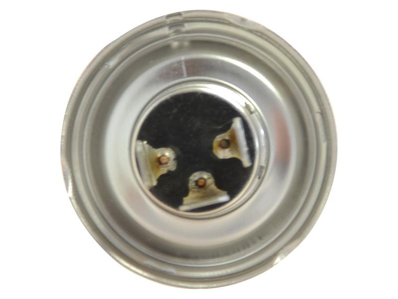 Light Bulb (Filament) R2, 24V, 50W, P45t (Box 1 pc.)