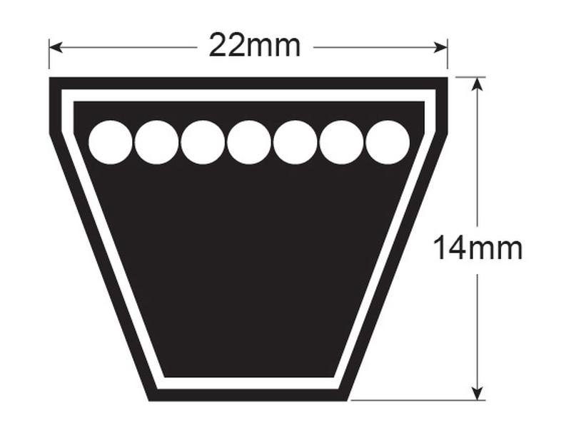 V Belt - C Section - Belt No. C164