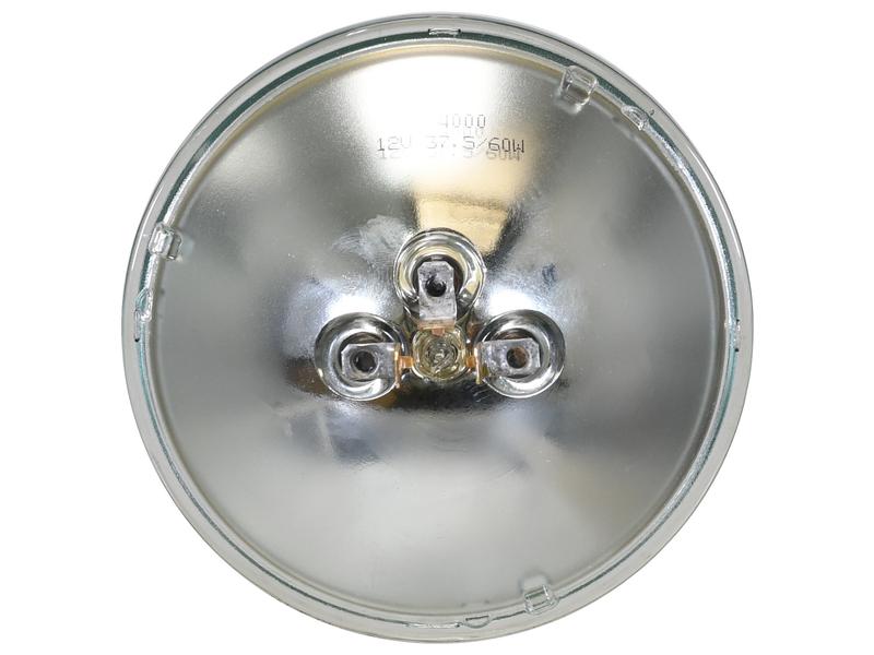 Head Light, (Halogen), RH & LH, Straight, 12V