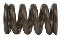 PTO Clutch Outer Spring